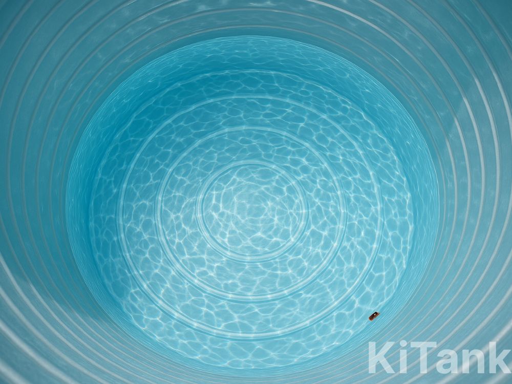 7 Warning Signs Your Water Tank Needs Immediate Cleaning - KiTank Cleaning